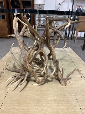 Ponderosa Antler Base Glass Top Table | North Furnishings
